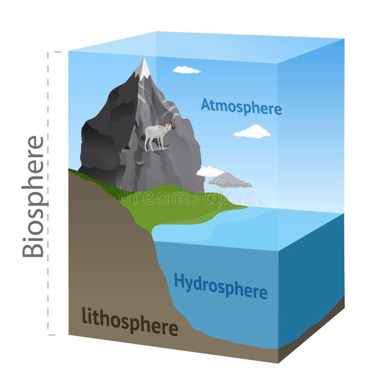 Biosphere Diagram Stock Illustrations – 207 Biosphere Diagram Stock ...