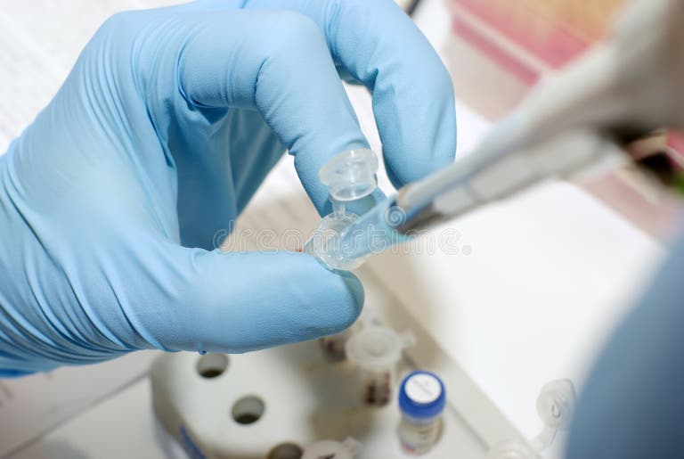 Biotech lab hands stock photo. Image of instrument, clinical - 4449362