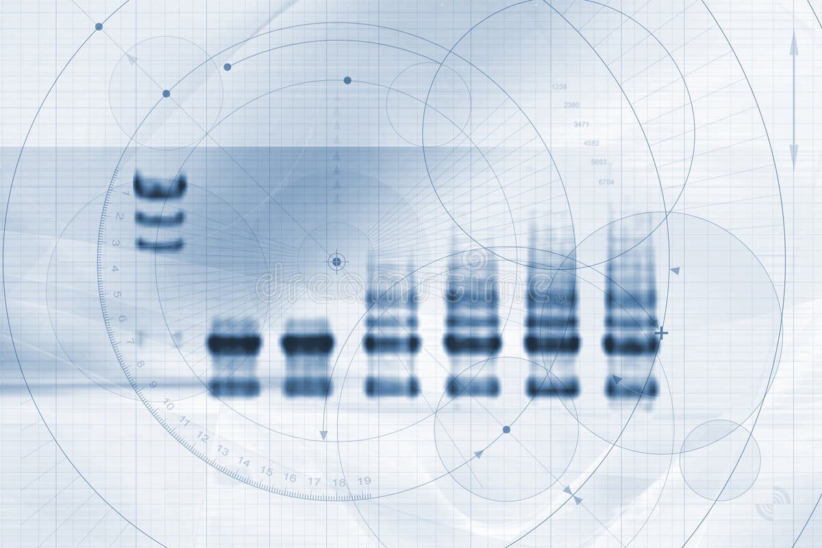 Superimposed Map Stock Illustrations – 287 Superimposed Map Stock ...