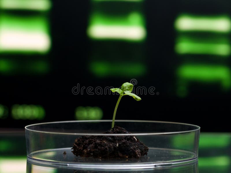 Biotechnologie research stock image. Image of research - 18399791