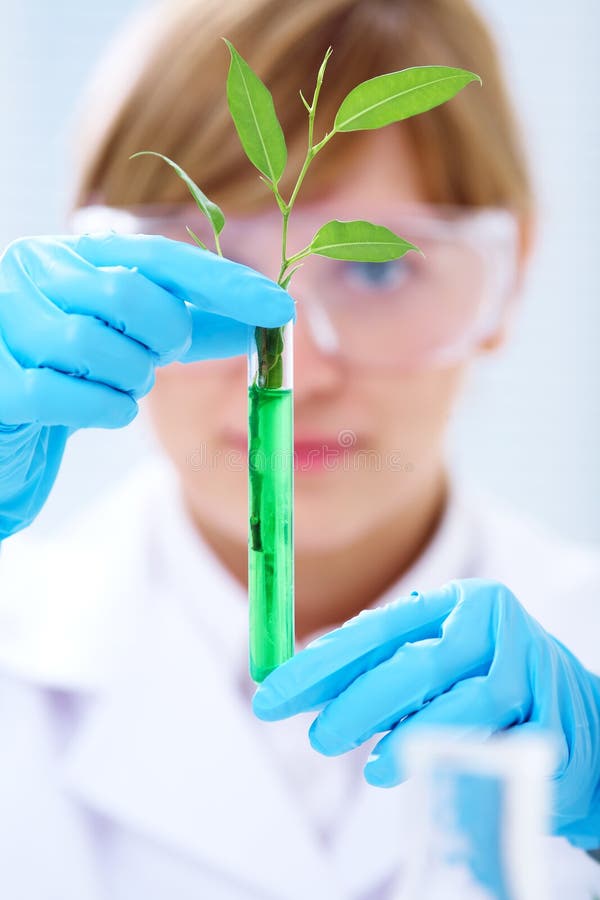 Biotechnology stock image. Image of planting, life, leaf - 28802487