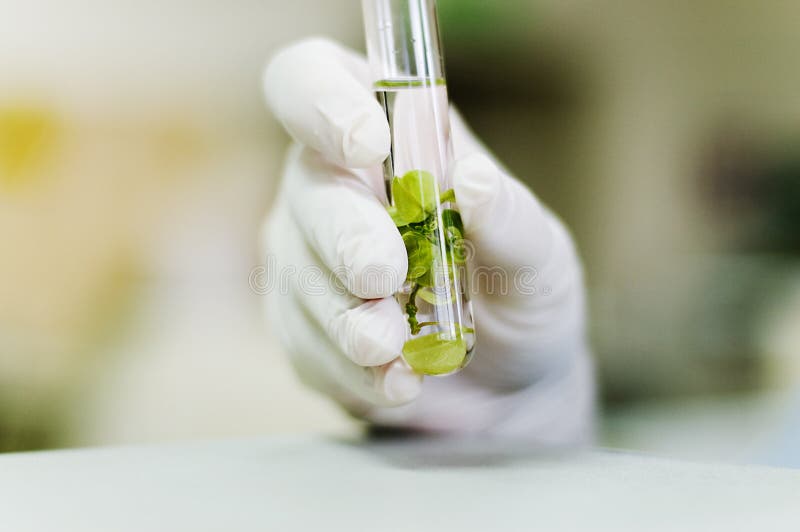 Pharmacy Label Project Stock Photos - Free & Royalty-Free Stock Photos ...