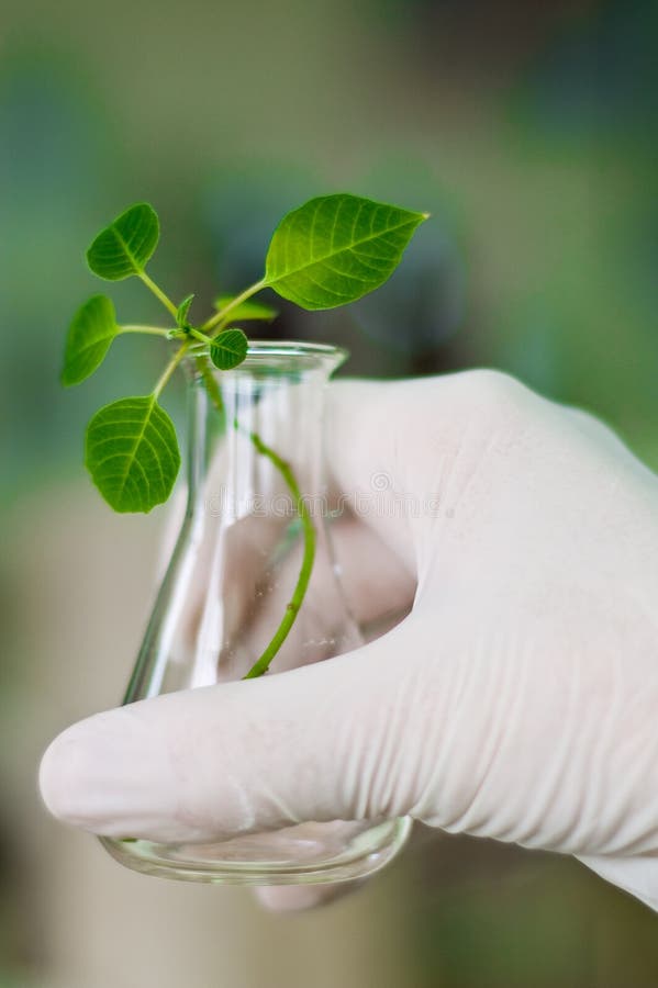 Biotechnology stock photo. Image of creation, bottle, hand - 8020136