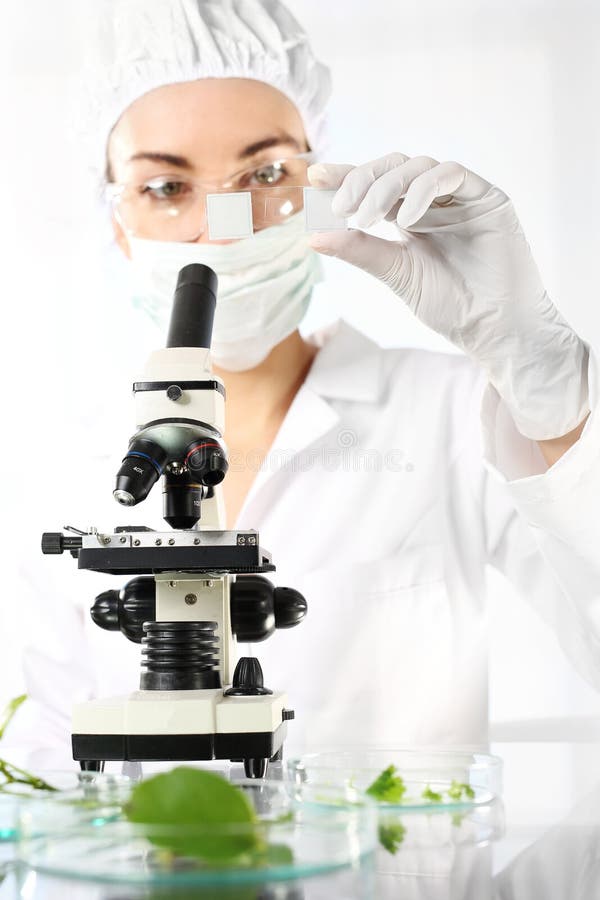 Biotechnology stock photo. Image of engineering, laboratory - 75699182