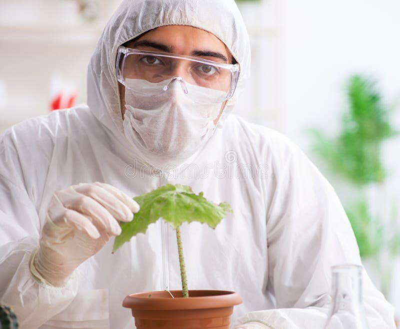Biotechnology Chemist Working in Lab Stock Photo - Image of green ...