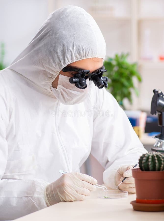 Biotechnology Chemist Working in Lab Stock Image - Image of examining ...