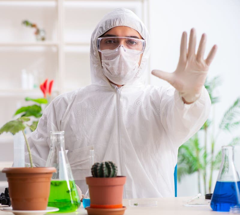 Biotechnology Chemist Working in Lab Stock Image - Image of leave ...