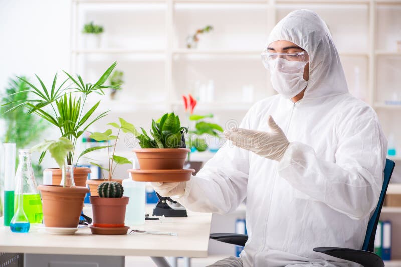 The Biotechnology Chemist Working in Lab Stock Image - Image of ...
