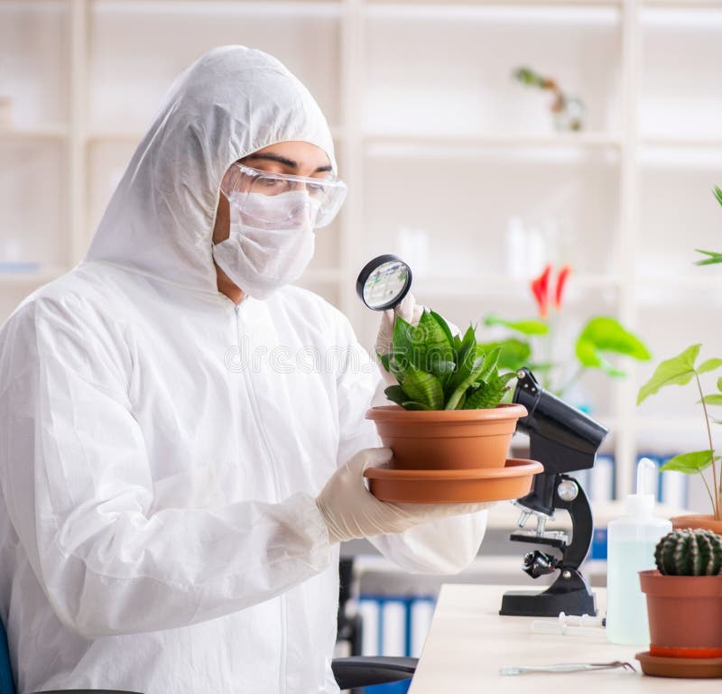 Biotechnology Chemist Working in Lab Stock Photo - Image of bacteria ...