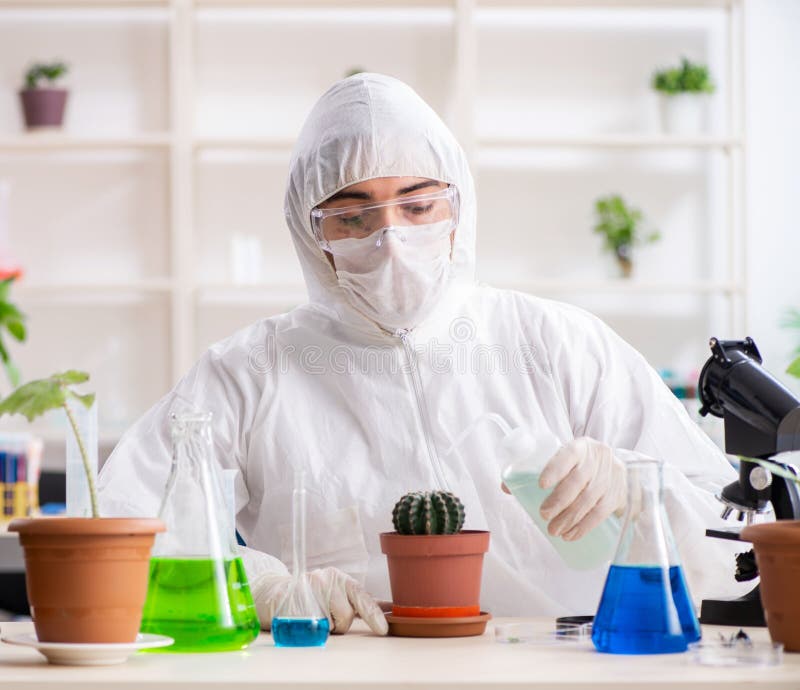1,504 Weed Lab Stock Photos - Free & Royalty-Free Stock Photos from ...
