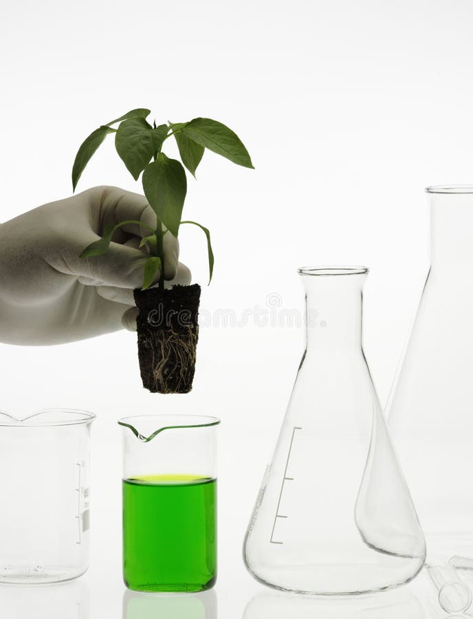 Biotechnology stock photo. Image of creation, bottle, hand - 8020136