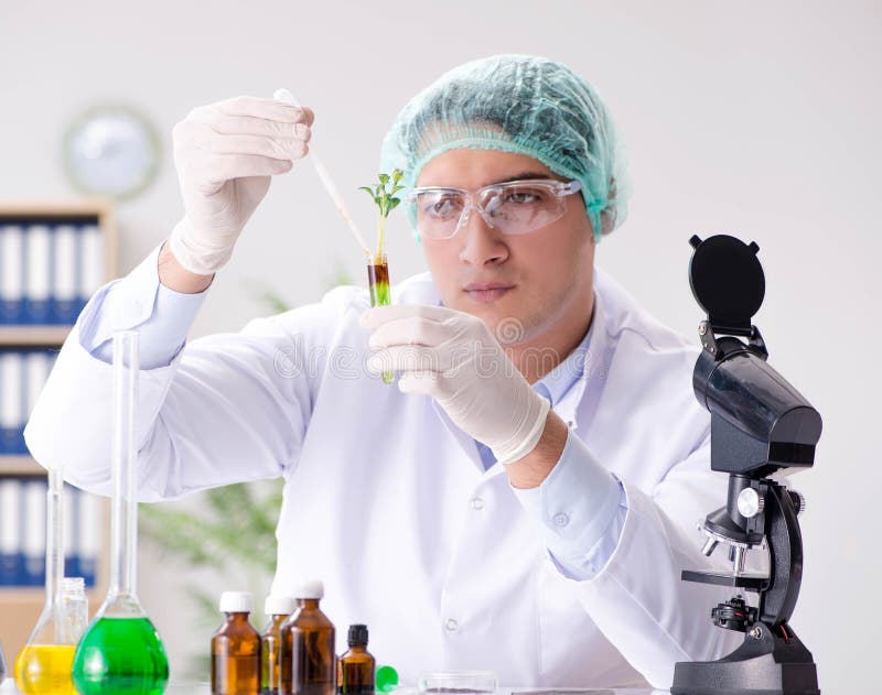 Biotechnology Concept with Scientist in Lab Stock Image - Image of leaf ...