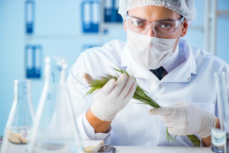 The Biotechnology Concept with Scientist in Lab Stock Image - Image of ...