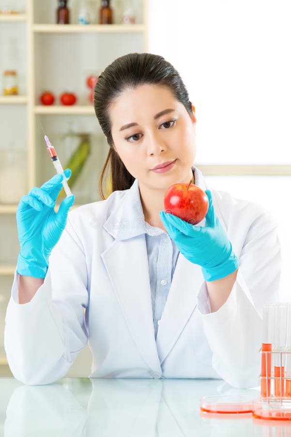Biotechnology Engineer Examining Genetic Modification Apple Stock Photo ...