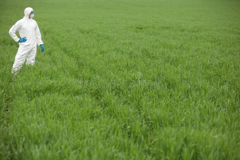 Biotechnology Engineer On Field Of Genetically Mod Picture. Image: 32336993