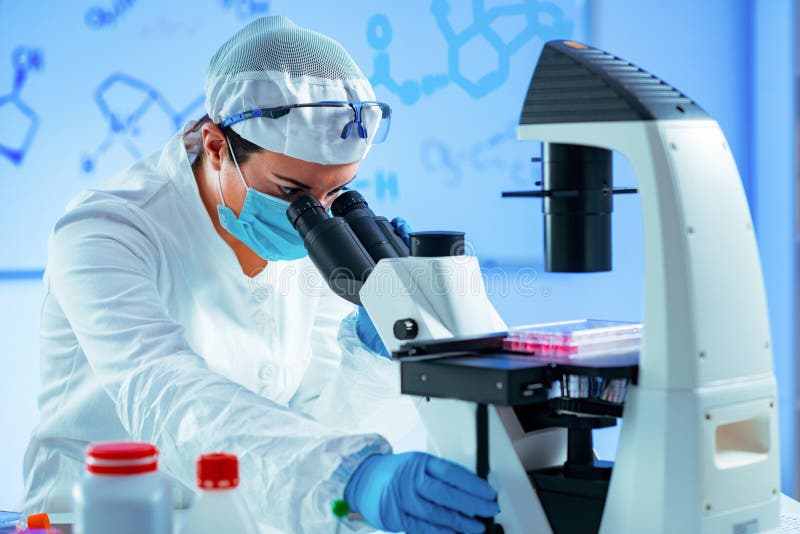 Biotechnology Engineer Inspecting Cell Culture Flask Stock Image ...