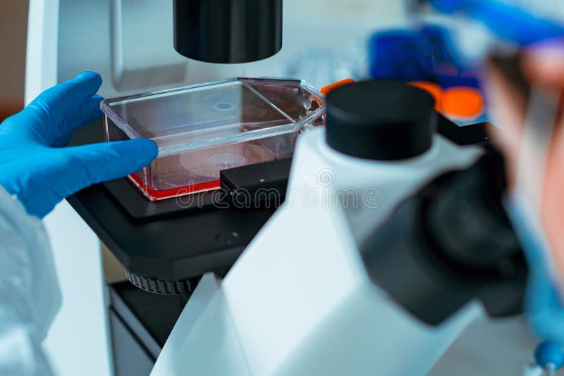 Female Biotechnology Scientist Working in Laboratory Stock Photo ...