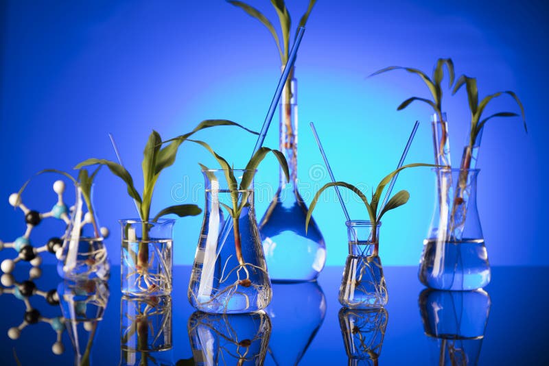 Science Theme. Modern Scientific Laboratory Interior. Stock Photo ...