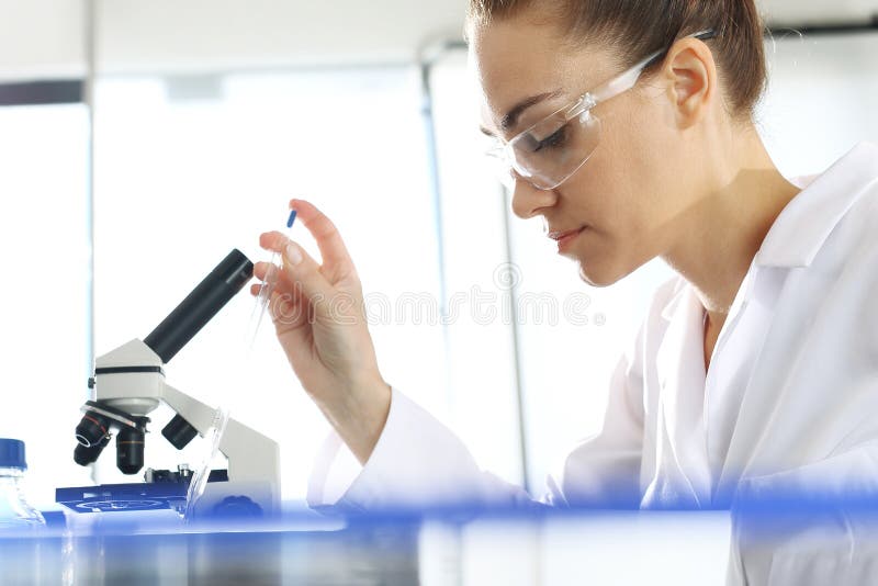 Genetic Engineering of Plants, Laboratory Testing. Stock Photo - Image ...