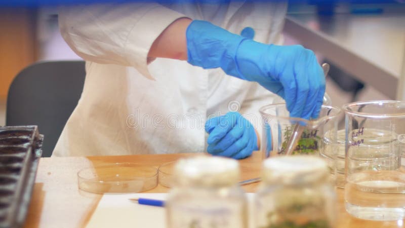 Biotechnology and Genetic Engineering - a Woman Labor Working with ...