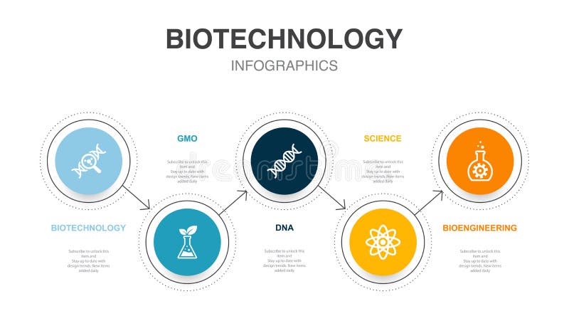 Biotechnology Infographic 10 Steps Stock Vector - Illustration of ...