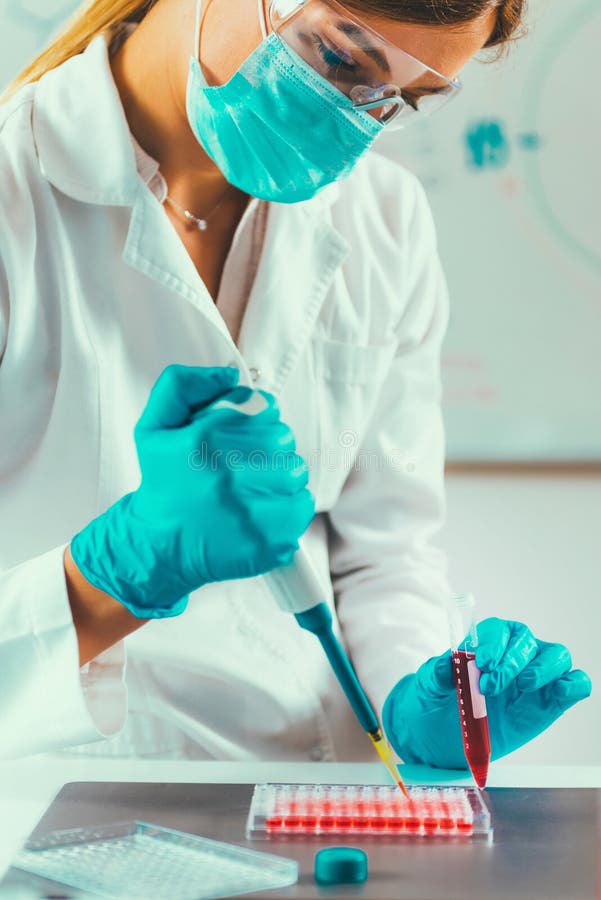 Biotechnology. Laboratory Technician Working with Cell Culture Stock ...