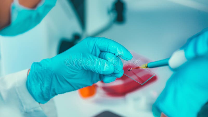 Female Biotechnology Scientist Working in Laboratory Stock Photo ...