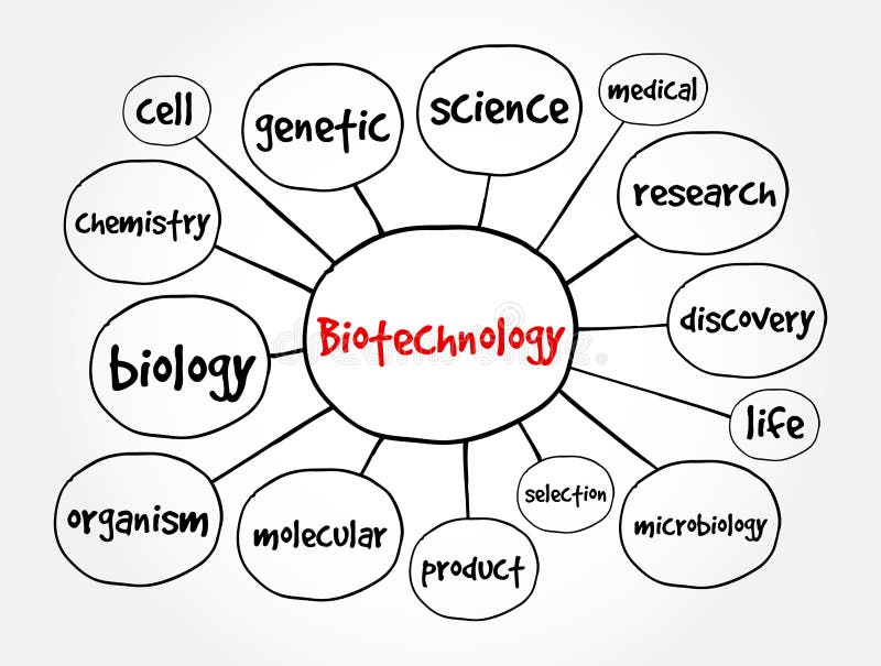 Biotechnology Mind Map, Concept for Presentations and Reports Stock ...