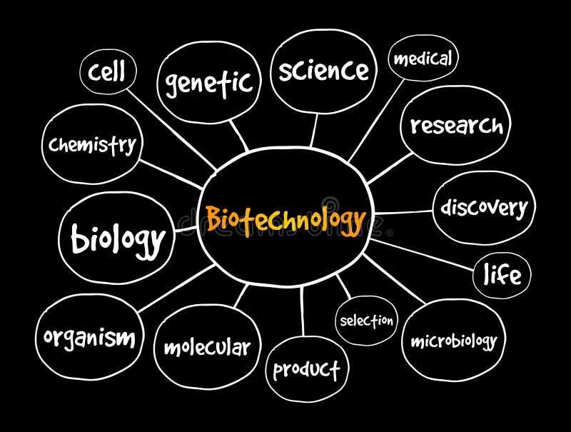 Biotechnology Mind Map, Concept for Presentations and Reports Stock ...