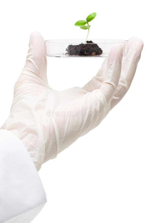 Biotechnology research stock image. Image of biotech - 18399789