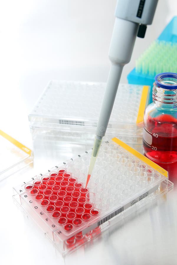 Medical Biotechnology Science Experiment Stock Image - Image of ...