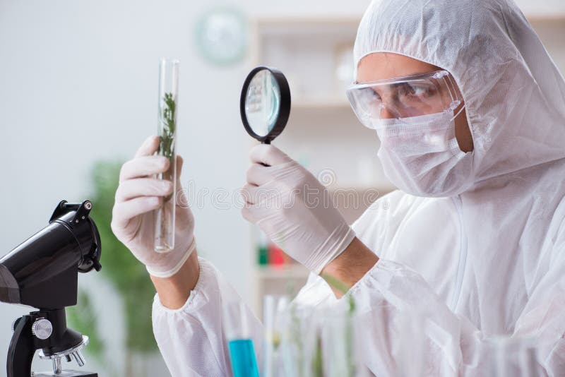 The Biotechnology Scientist Chemist Working in Lab Stock Photo - Image ...