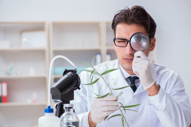 The Biotechnology Scientist Chemist Working in Lab Stock Image - Image ...