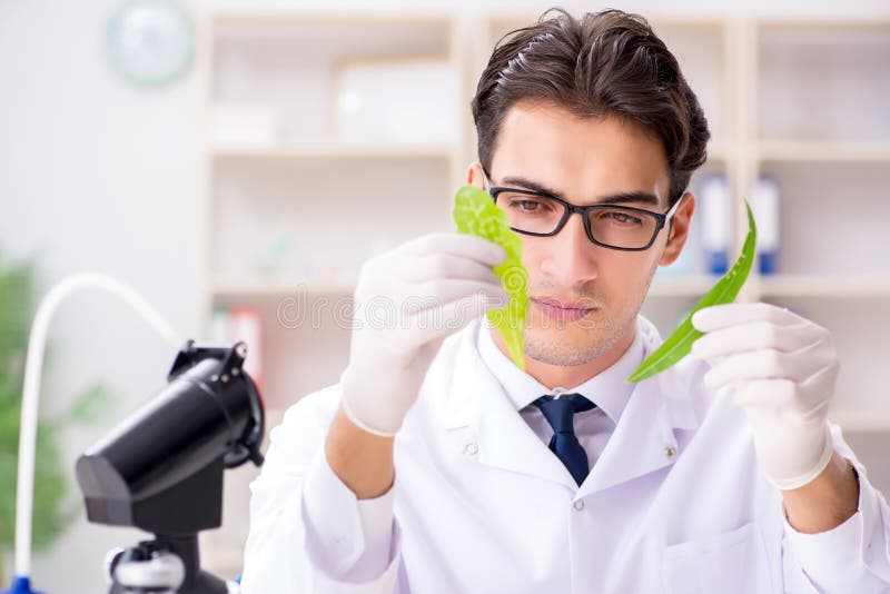 The Biotechnology Scientist Chemist Working in Lab Stock Image - Image ...
