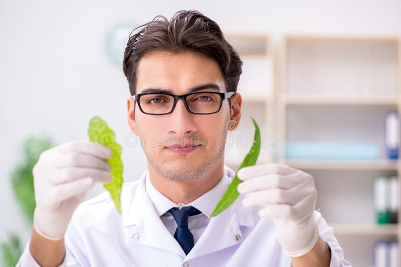 The Biotechnology Scientist Chemist Working in Lab Stock Image - Image ...