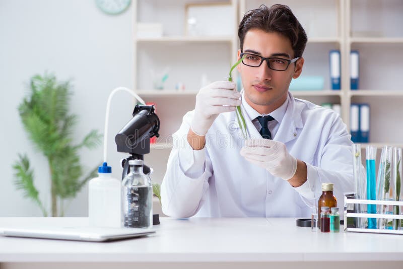 The Biotechnology Scientist Chemist Working in Lab Stock Image - Image ...