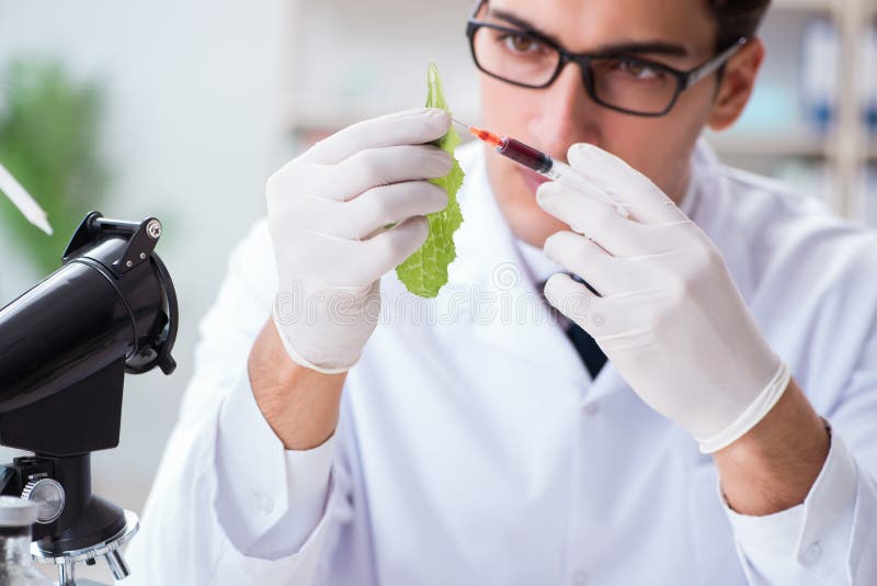 The Biotechnology Scientist Chemist Working in Lab Stock Image - Image ...
