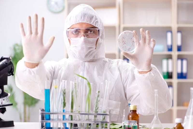 The Biotechnology Scientist Chemist Working in Lab Stock Image - Image ...