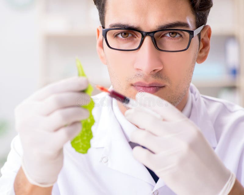 Biotechnology Scientist Chemist Working in Lab Stock Image - Image of ...