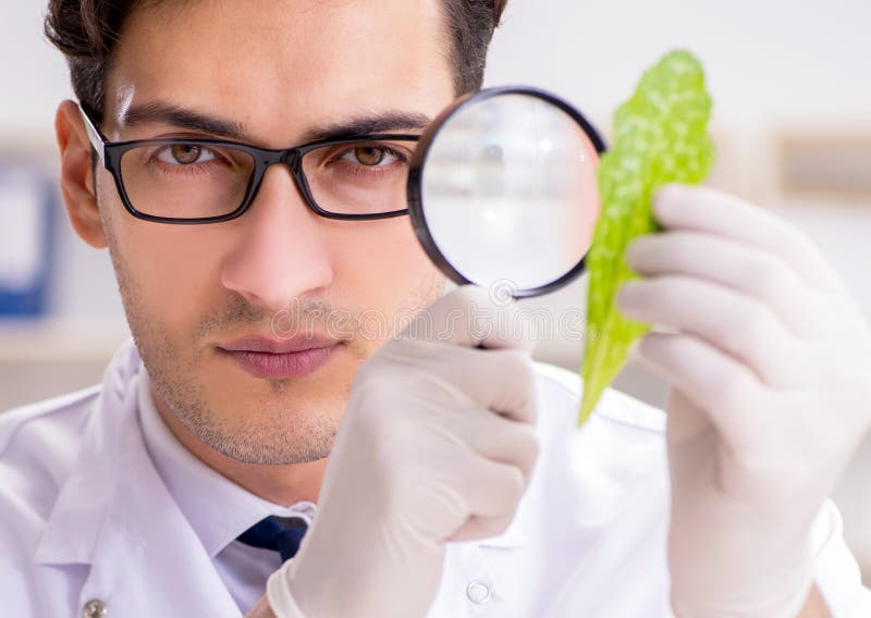 The Biotechnology Scientist Chemist Working in Lab Stock Photo - Image ...