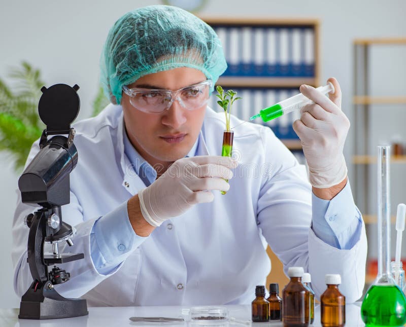 Biotechnology Scientist Working in the Lab Stock Image - Image of ...