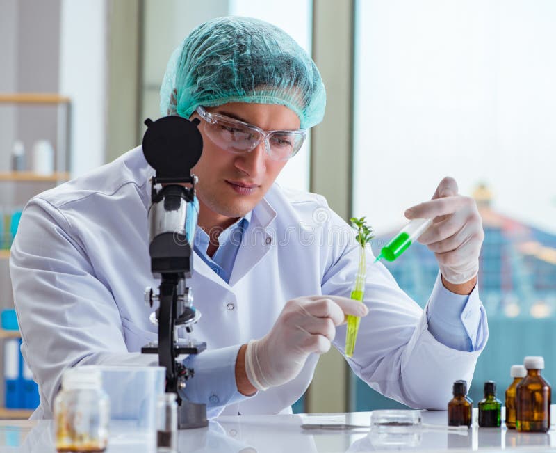 Biotechnology Scientist Working in the Lab Stock Image - Image of flask ...