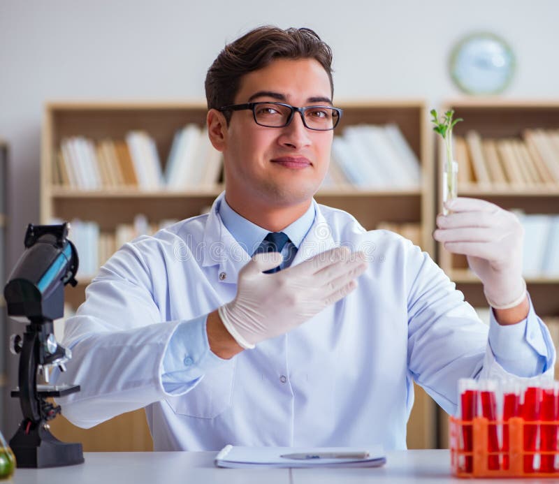 Biotechnology Scientist Working in the Lab Stock Photo - Image of life ...