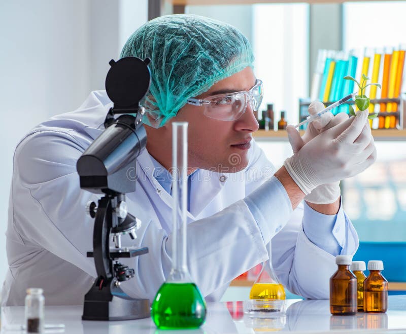 Biotechnology Scientist Working in the Lab Stock Image - Image of ...