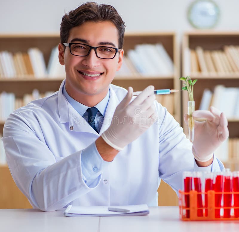 Biotechnology Scientist Working in the Lab Stock Photo - Image of ...