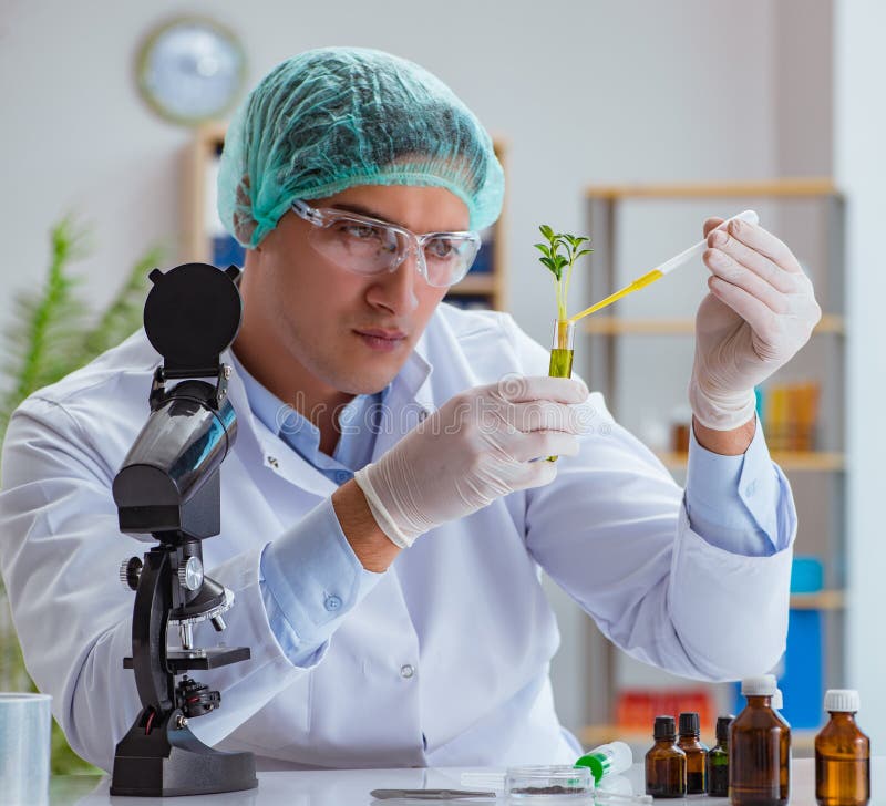 Biotechnology Scientist Working in the Lab Stock Image - Image of ...