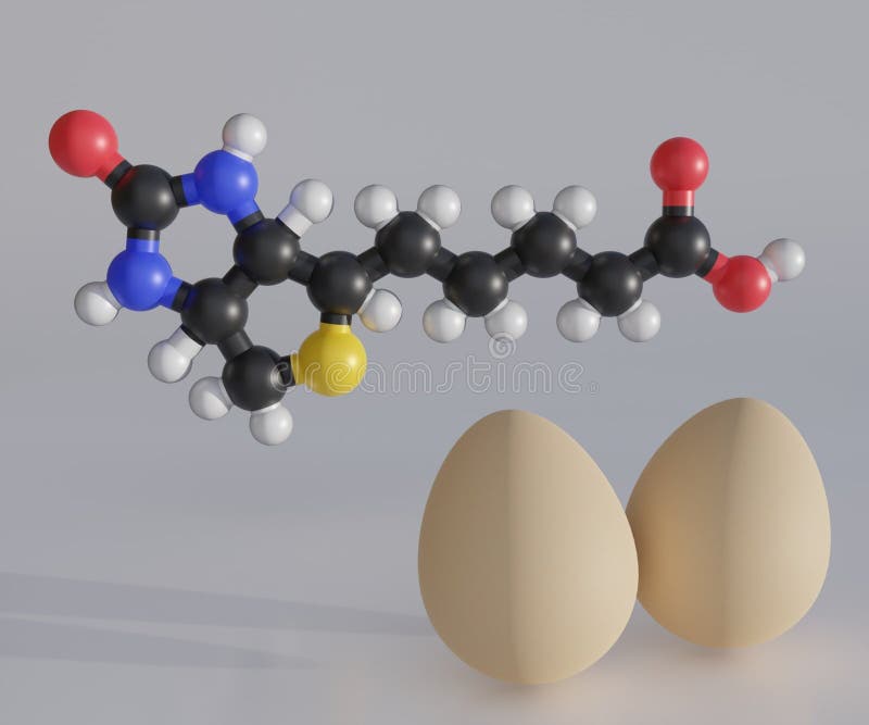 Biotin Molecule Stock Illustrations – 170 Biotin Molecule Stock ...