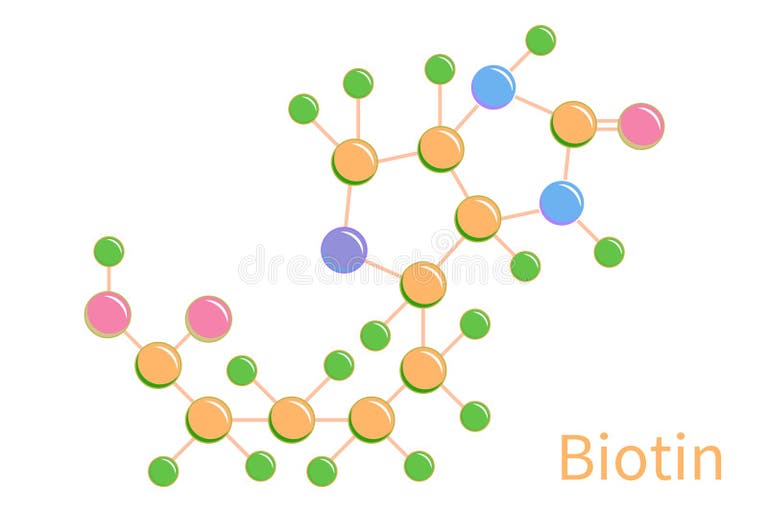 Biotin Structure Stock Illustrations – 151 Biotin Structure Stock ...