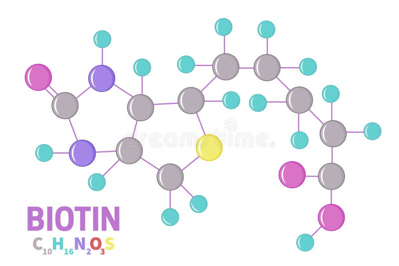 Biotina Vitamina B7, Molécula Ilustración del Vector - Ilustración de ...