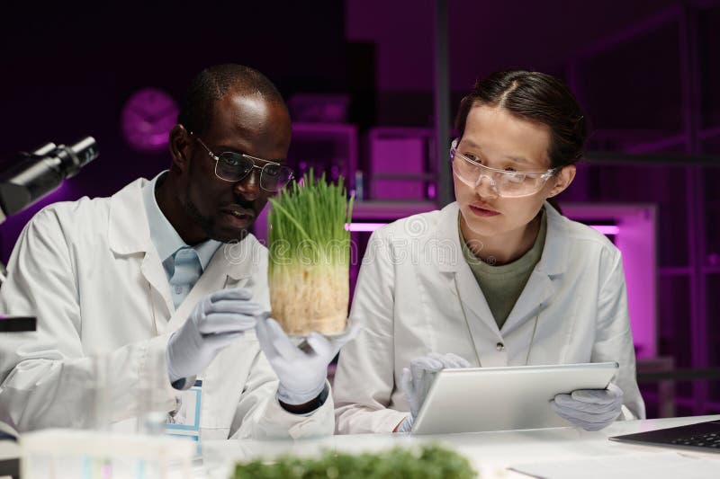 Biracial Biologists Stock Photos - Free & Royalty-Free Stock Photos ...